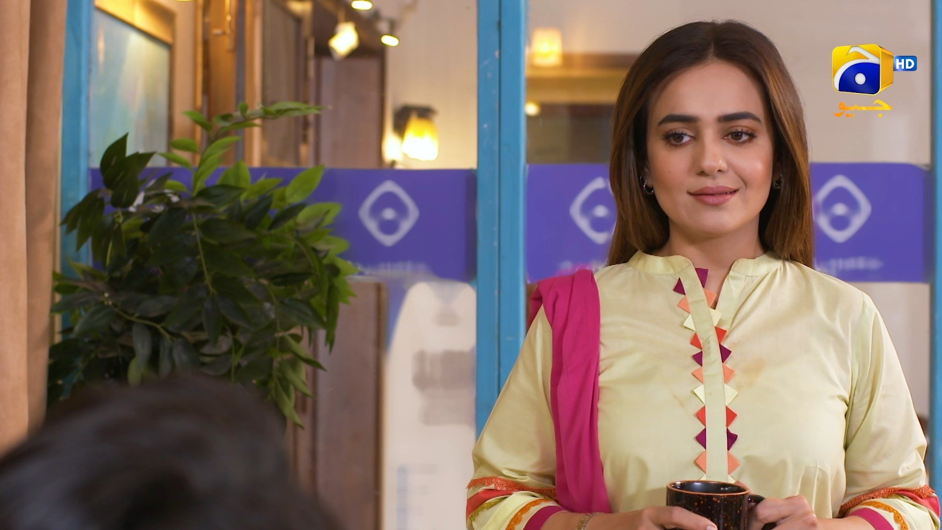 Maa Nahi Saas Hoon Main Episode 33 Hammad Shoaib Sumbul Iqbal Farhan Ally Agha, Har Pal Geo ...