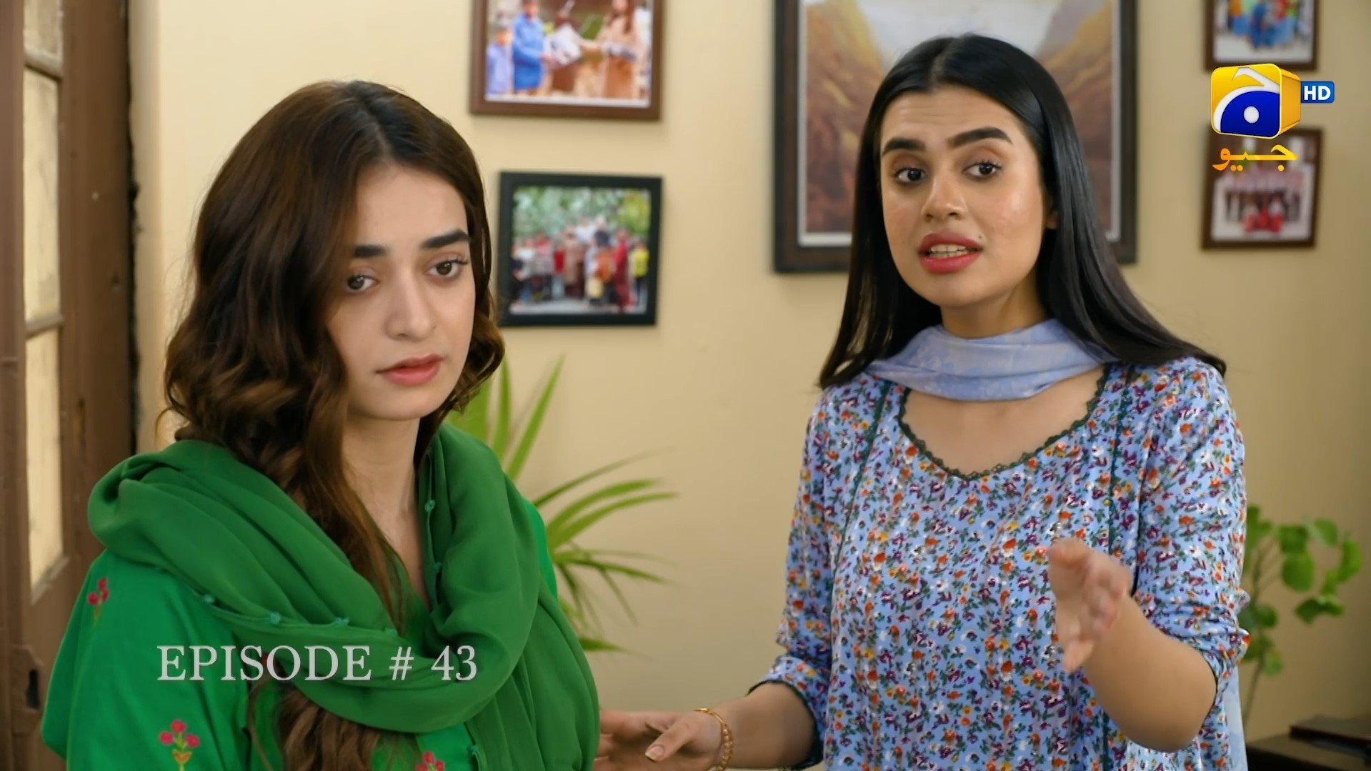 Shiddat Episode 43 Muneeb Butt Anmol Baloch, Har Pal Geo Drama - 1st Jul 2024 - Watch Online
