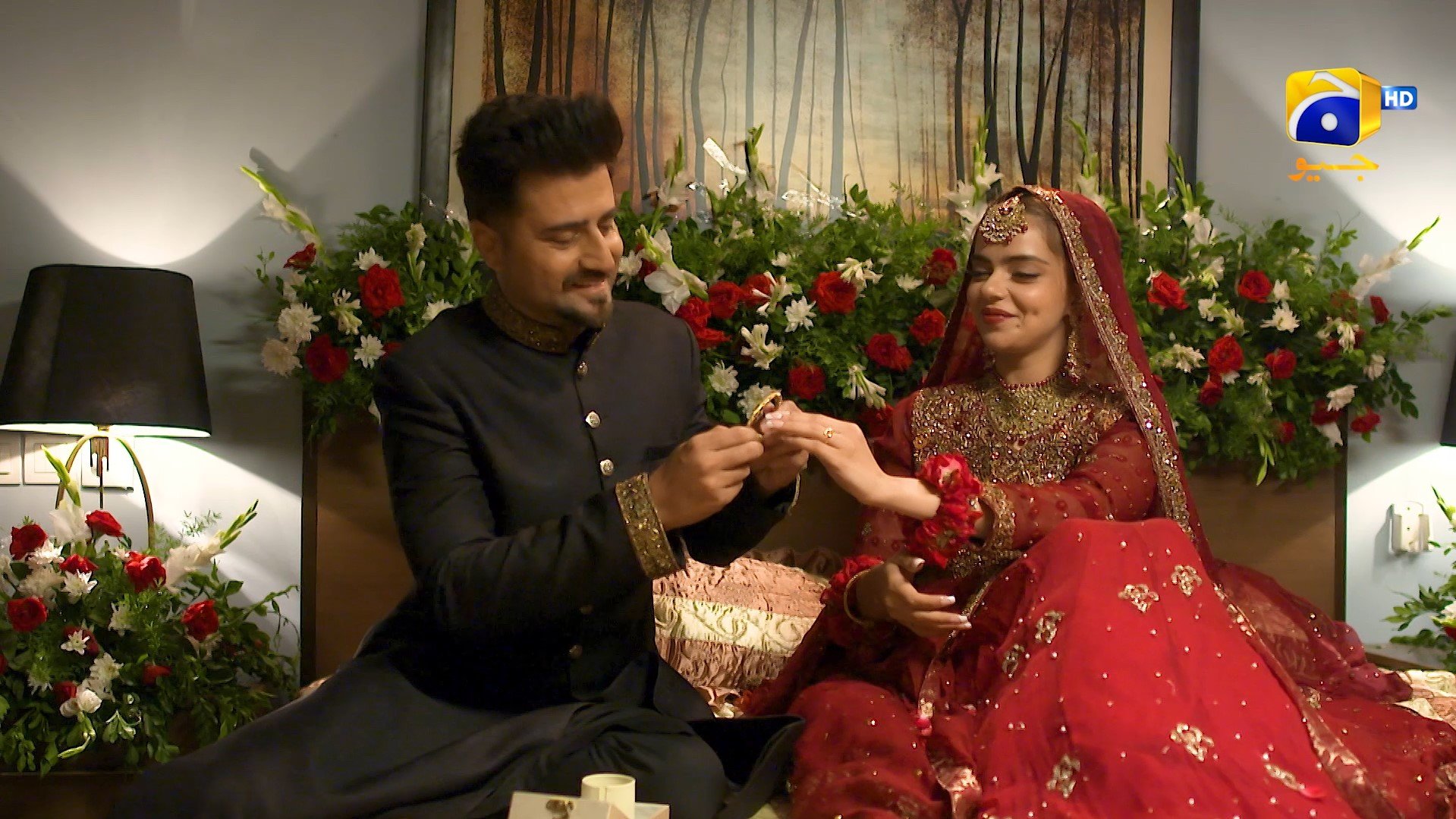 Bayhadh Episode 35 Affan Waheed Madiha Imam Humayoun Ashraf Saboor Ali ...