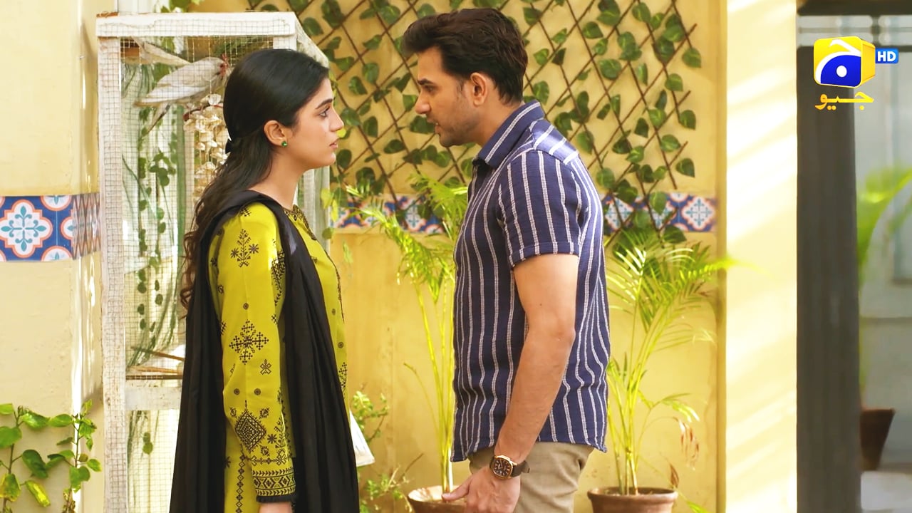 Kaffara Episode 85 Ali Ansari Laiba Khan Zoya Nasir, Har Pal Geo Drama ...