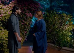 Mehshar Episode, Mehshar Drama Cast, Mehshar Schedule, Mehshar OST